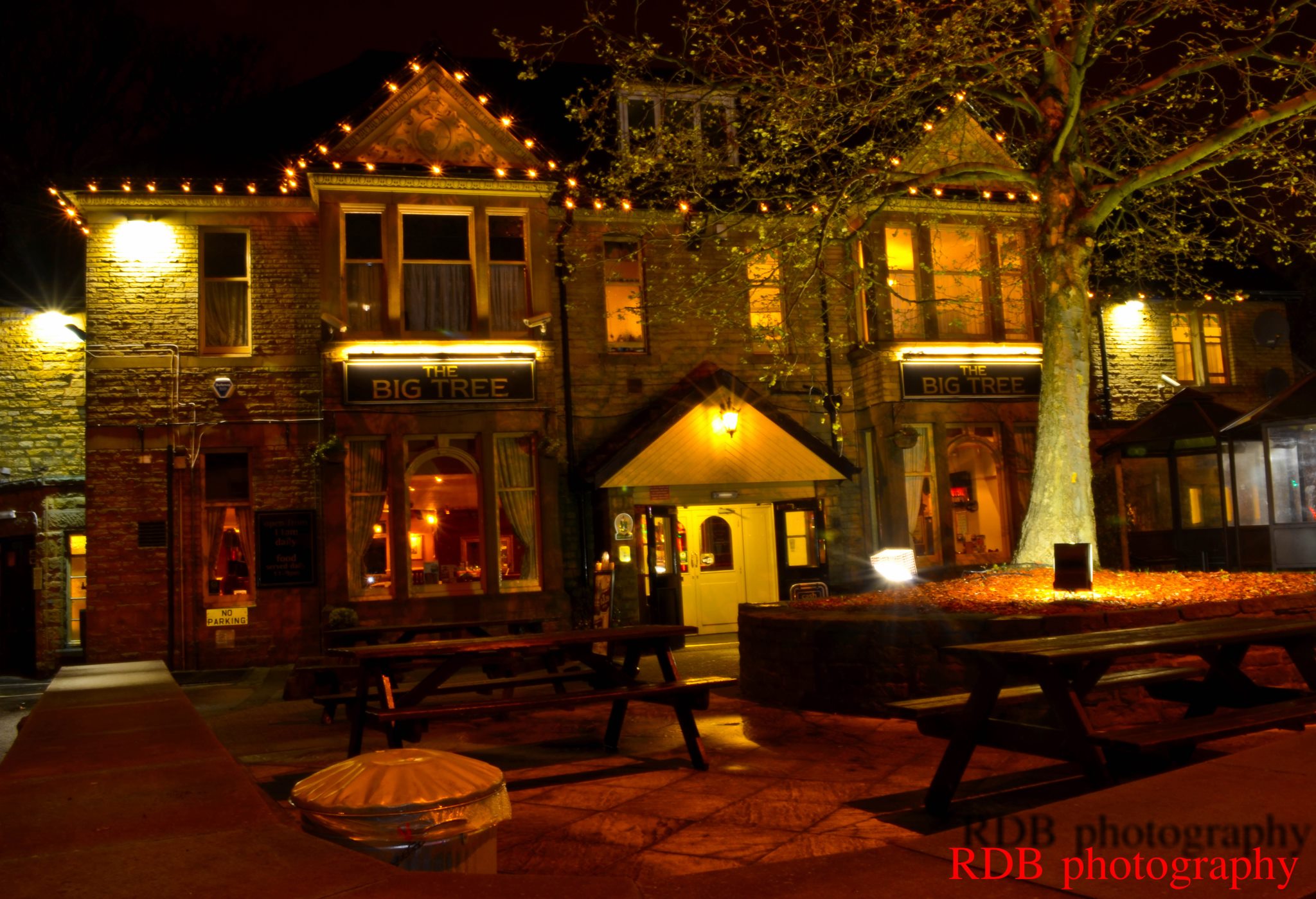 Big Tree (Sheffield) - Redtooth Poker