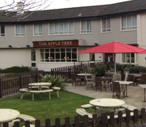 Apple Tree (Coseley) - Redtooth Poker
